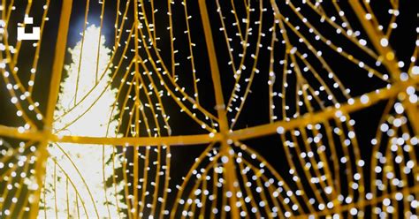 나뭇가지에 조명이 매달려 있는 크리스마스 트리 사진 Unsplash의 무료 조명 이미지