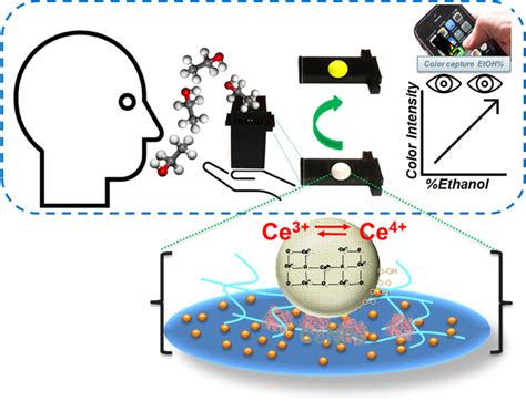 Decision Tree Of Materials A Model Of Halal Control Point 51 Off