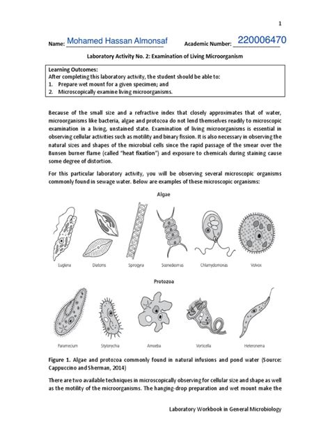 Laboratory Activity 2 Pdf Microorganism Materials Science