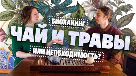 Чай и Травы для современного человека биохакинг или необходимость Youtube