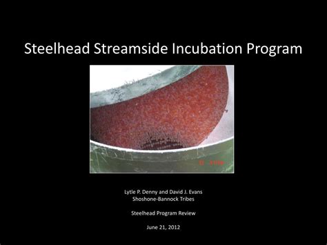 Ppt Steelhead Streamside Incubation Program Powerpoint Presentation Free Download Id 1745256