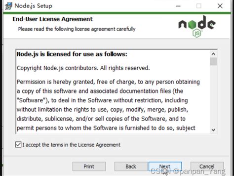 node js，npm安装 详细教程 猪脚踏浪 博客园