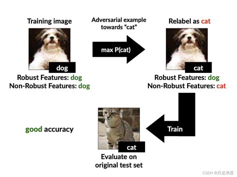 论文笔记：adversarial Examples Are Not Bugs They Are Features Csdn博客