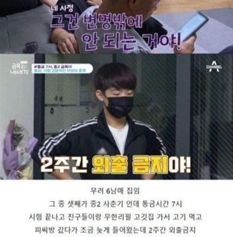 드라마 무료 다시보기 금쪽이에 나온 중2 사춘기 학생 가족 본문내용 댓글에