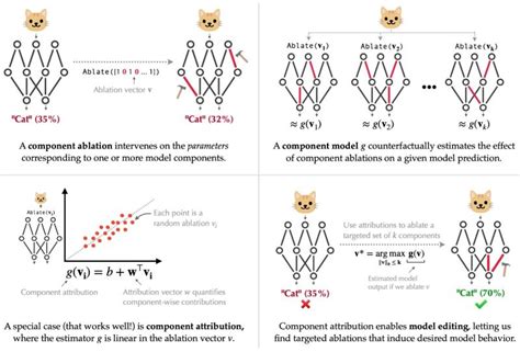 How Do Black Box Neural Networks Transform Raw Data Into Predictions Inside These Models Are