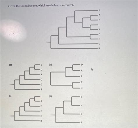 Solved Given The Following Tree Which Tree Below Is Chegg Com