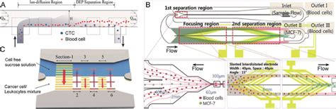A A Continuous Flow Chamber Based On Dielectrophoretic Download Scientific Diagram