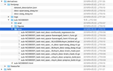 FMRIPREP Error OSError Handle Is Closed Fmriprep Neurostars