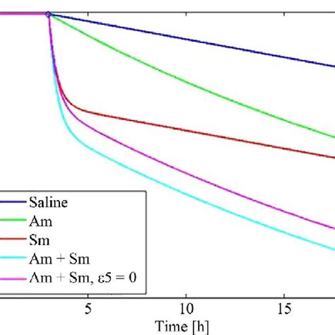 Results For Dynamics Using The Loop Procedure Download Scientific Diagram