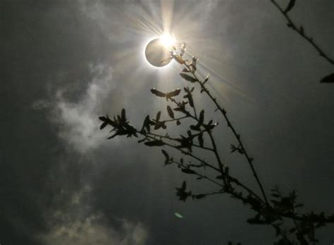 The Eclipse In Dallas Rspace