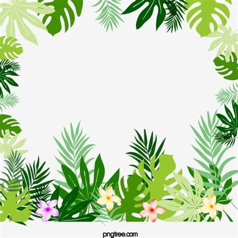 лист и цветочная граница тропических растений летом Png Растительный клипарт листочек лето