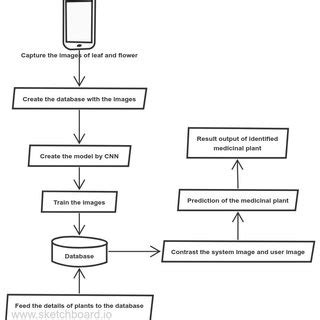 PDF Identification Of Medicinal Plants By Visual Characteristics Of Leaves And Flowers