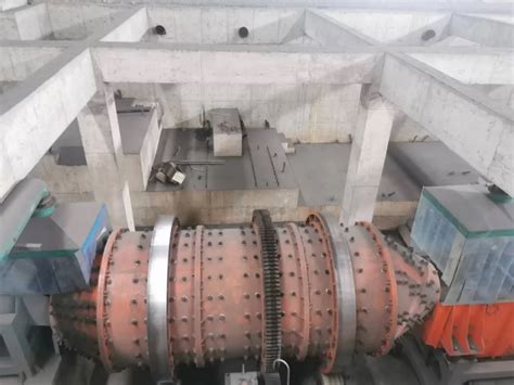 Optical Sorting Technology Precision And Finesse Zhicheng