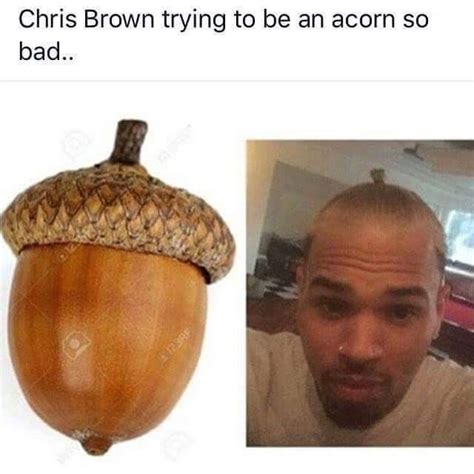 78 Chris Brown Memes Ideas Chris Brown Breezy Chris Brown Browns Memes