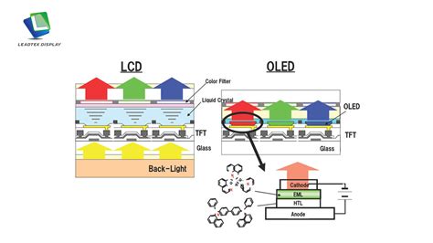 Amoled Vs Lcd Screens Unveiling The Visual Spectrum