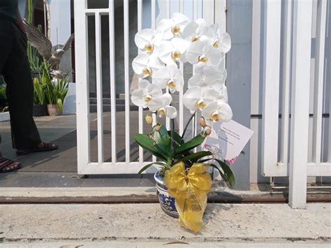 The Rise Of Citizen Science Crowdsourcing Solutions For A Sustainable Future Tekno For Fun