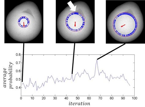 Gradient Based Movement At Three Iteration Stages Download Scientific