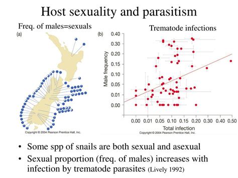 PPT Sex And Sex Ratio PowerPoint Presentation Free Download ID 1393950