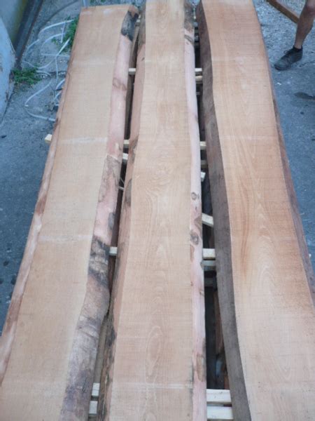 Beech Timber Pk Timber