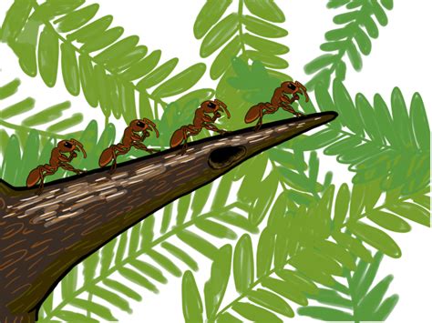 Coevolution Examples In Nature And Beyond