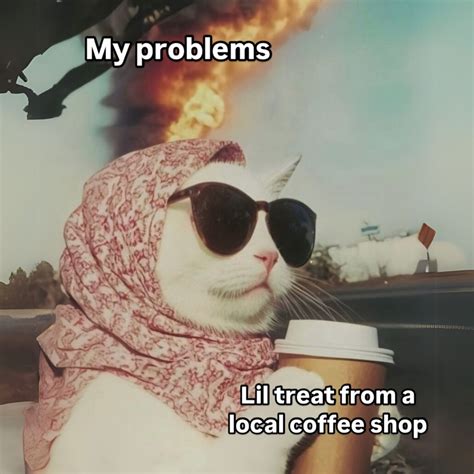 The Top 16 Funniest Sunglasses Memes On The Internet Ezontheeyes