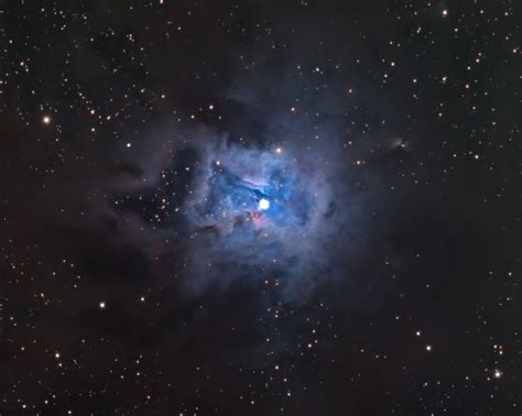 Iris Nebula Members Album Stargazers Lounge