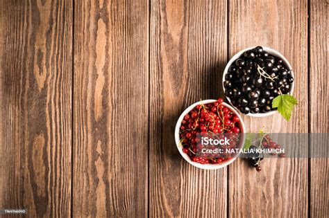 나무 배경에 흰색 그릇에 신선한 잘 익은 빨간 검은 건포도 베리 수평 프레임 위에서 볼 수 있습니다 0명에 대한 스톡 사진 및 기타 이미지 Istock