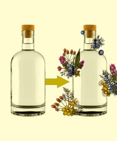 The Complete Gin Guide Learn About Gin Now UPDATED
