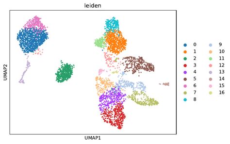 Umap By Leiden Cluster Pdf
