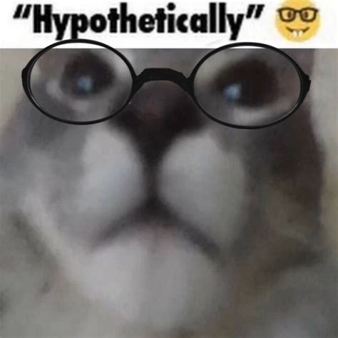 Nerd Deimos🤓 Silly Cats Pictures Silly Cats Funny Cute Cats