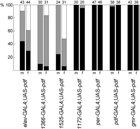 Distribution Of Locomotor Activity Patterns In The Different Lines With Download Scientific