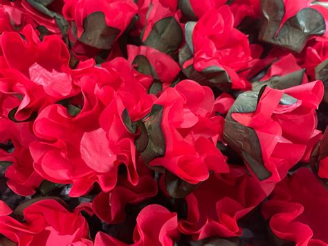 Modelo 01 012 50 Unid Lize Forminhas E Festas Ltda