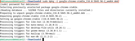 How To Install Packages On Debian LinuxWays