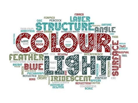 Structural Color Afbeelding Door Laurenejlevinson · Creative Fabrica