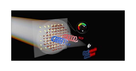 Bright Field And Edge Enhanced Imaging Using An Electrically Tunable