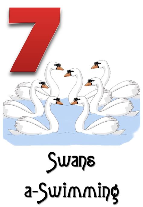 Seven Swans Swimming Meaning Twelve Days Of Christmas Seven Swans A