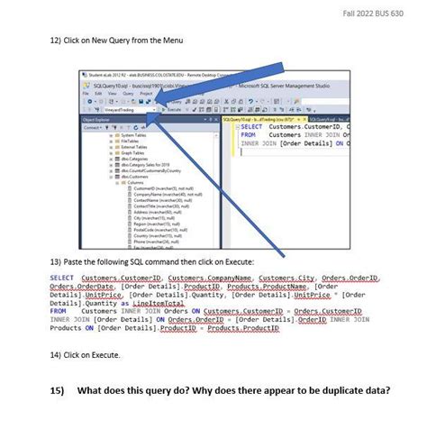 Click On New Query From The Menu Paste The Chegg