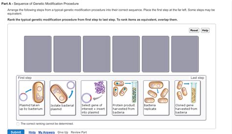 Solved Sequence Of Genetic Modification Procedure Arrange