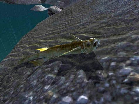 File OB Quest Go Fish UESP Wiki The Unofficial Elder Scrolls Pages