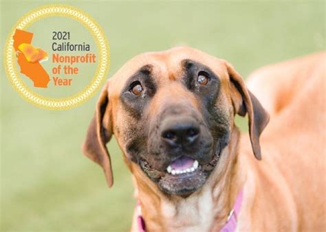 Gary Weitzman Brian Daugherty Jennifer Grantham Bobbie Barnes And