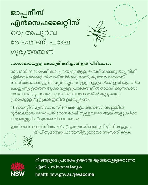 Japanese Encephalitis Virus Jev Vaccination