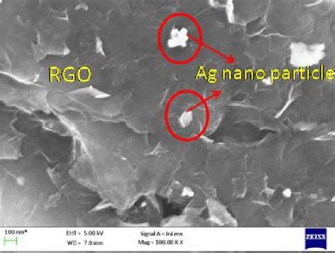 Fe Sem Image Of Rgo Ag Nanocompo Nanoparticles With Rgo Nanosheet