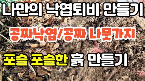 공짜로 낙엽 얻는방법 낙엽퇴비만들기 자연이 만들어준 나뭇가지퇴비 퇴비만들기 Youtube