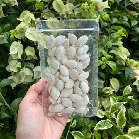Jual Kuaci Biji Labu Putih 40gr Shopee Indonesia