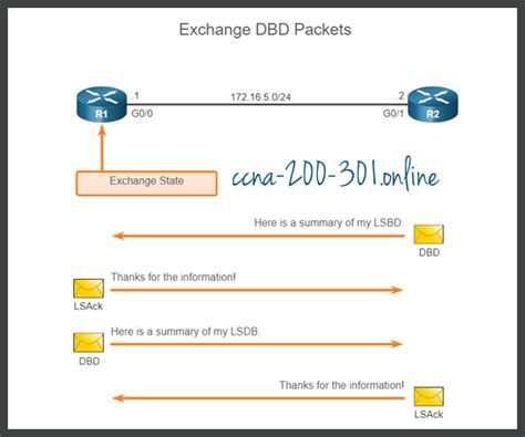 OSPF Operation CCNA 200 301