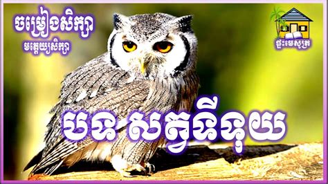 បទ សត្វទីទុយ Youtube