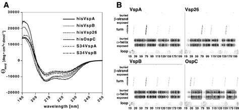 Secondary Structure Of Vsp Ospc Proteins A Cd Spectra Of Recombinant