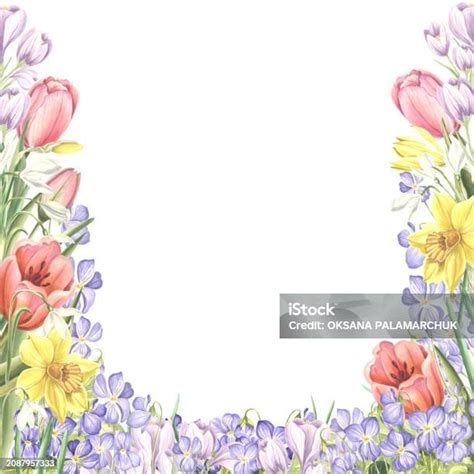 봄 꽃에서 사각형 프레임입니다 튤립 수선화 크로커스 야생 제비꽃의 고립 된 손으로 그린 수채화 그림 꽃 엽서 카드 직물 스크랩북을 위한 사본 공간을 가진 템플렛 0명에 대한