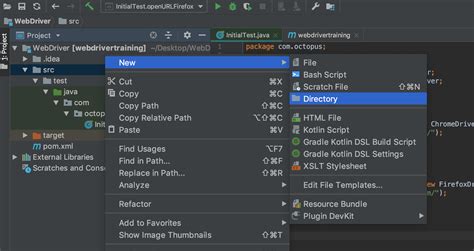 selenium series creating the framework octopus deploy