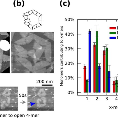 Shape Variable Building Block And Design With Dna Origami A Abstract